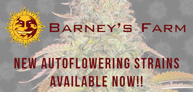 New auto seeds from Barney's Farm out now... – Natural Selection Leeds