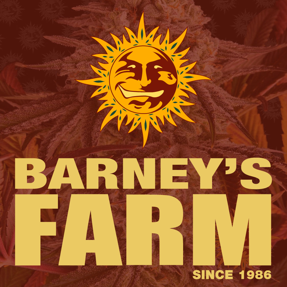 Barney's Farm Seeds – Natural Selection Leeds