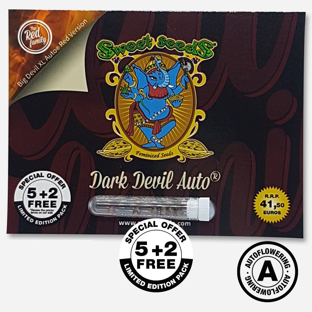 Sweet Seeds Dark Devil AUTO Feminised Cannabis Seeds – Natural ...