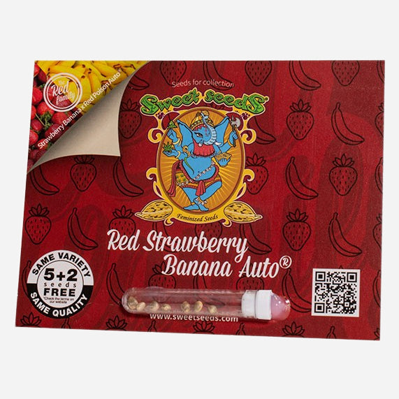 Sweet Seeds Red Strawberry Banana AUTO Feminised Cannabis Seeds ...