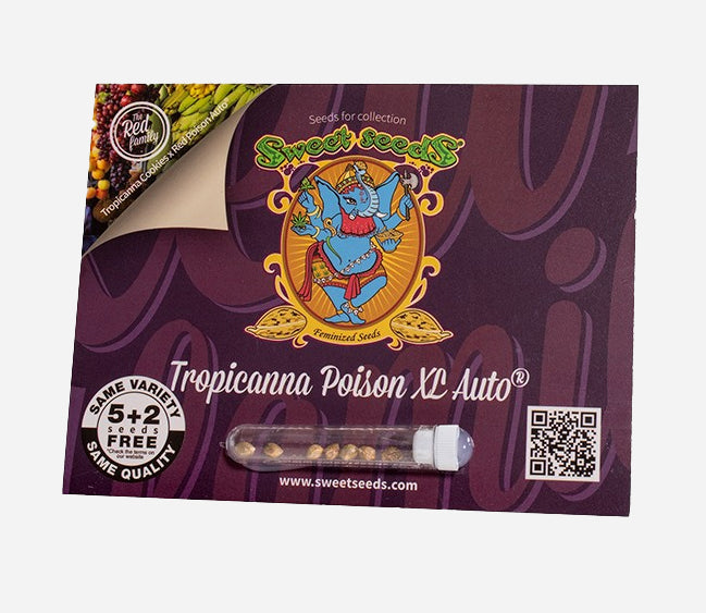 Sweet Seeds Sweet Tropicanna Poison XL AUTO Feminised Cannabis Seeds ...